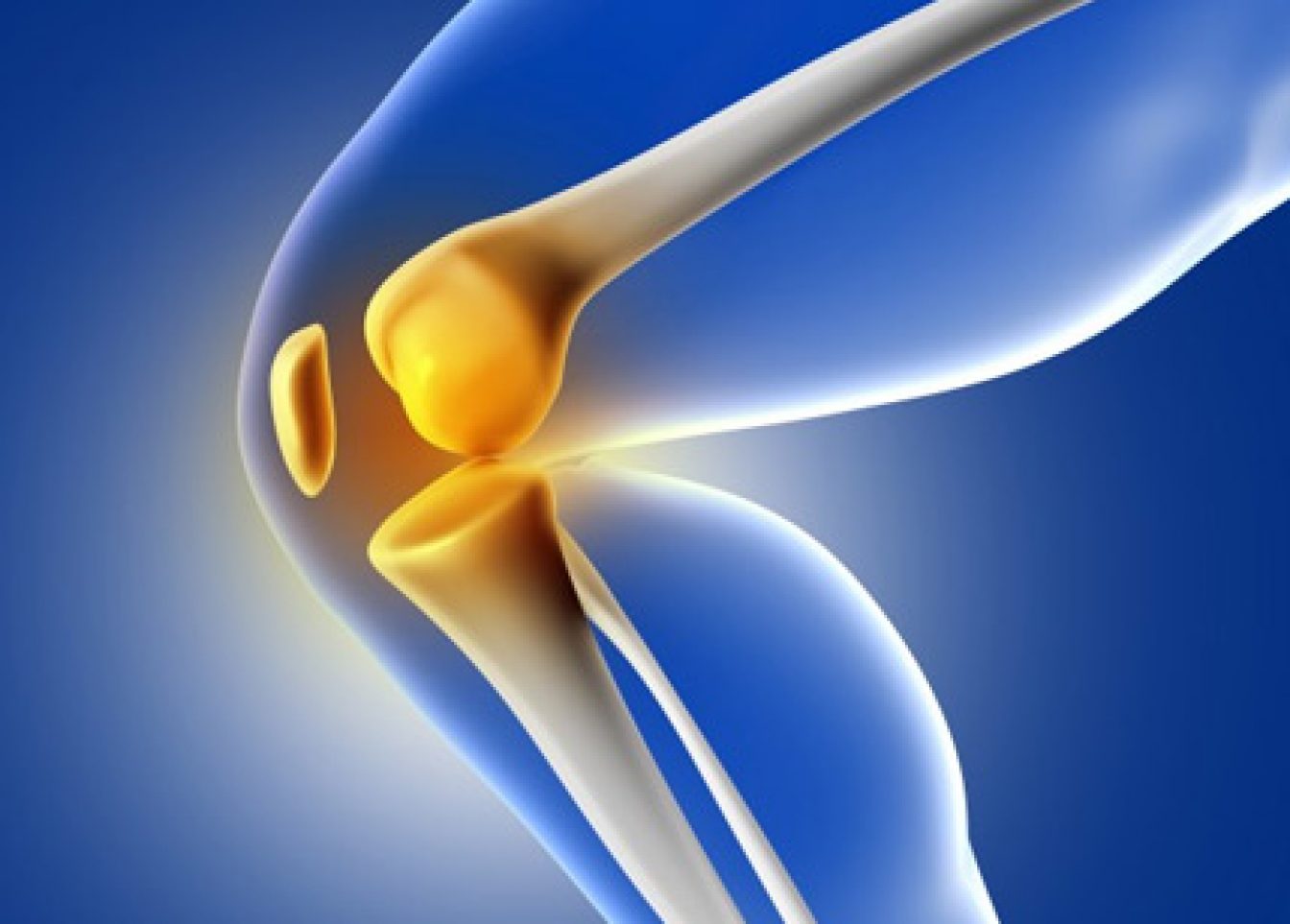 Knee - Redefined Health